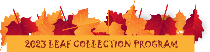 Residential Leaf Collection | City of Alexandria, VA